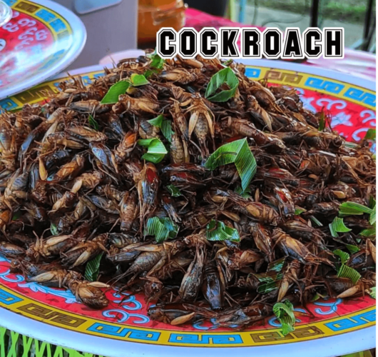 Weird Snacks In Thailand